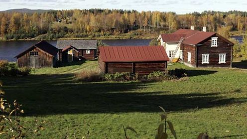 Aulikki jaksaa kansanparannuksen avulla fyysisessä työssä vielä 66 ...