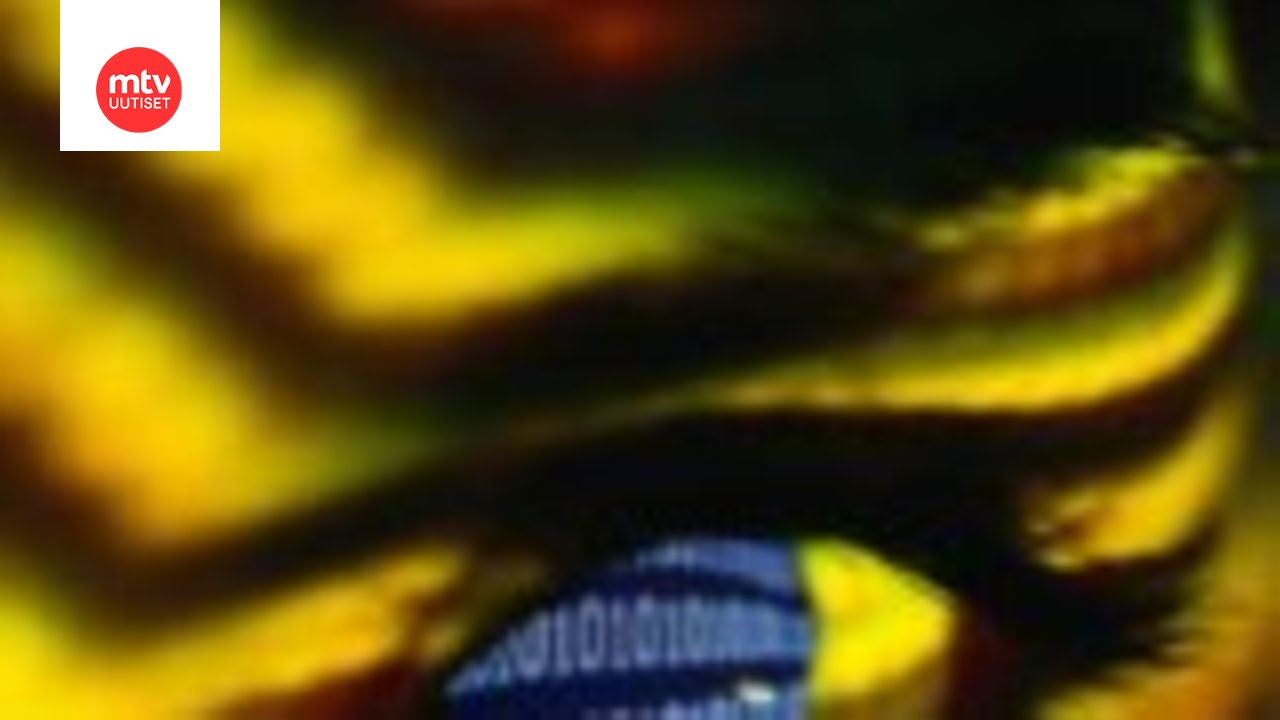 SirCam -virus tuhoaa tietoja - MTVuutiset.fi