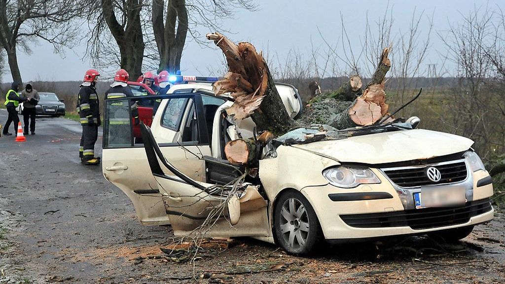 Puu rysähti auton päälle Puolassa – kolme kuoli - MTVuutiset.fi