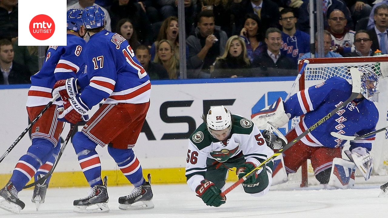 Haulan tyrmääjälle tulossa pitkä kakku - MTVuutiset.fi