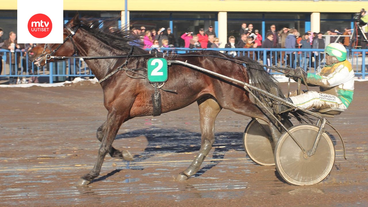 Ida’s Owenin voittoputki jatkuu – tienestit 7000 euroa viikossa ...
