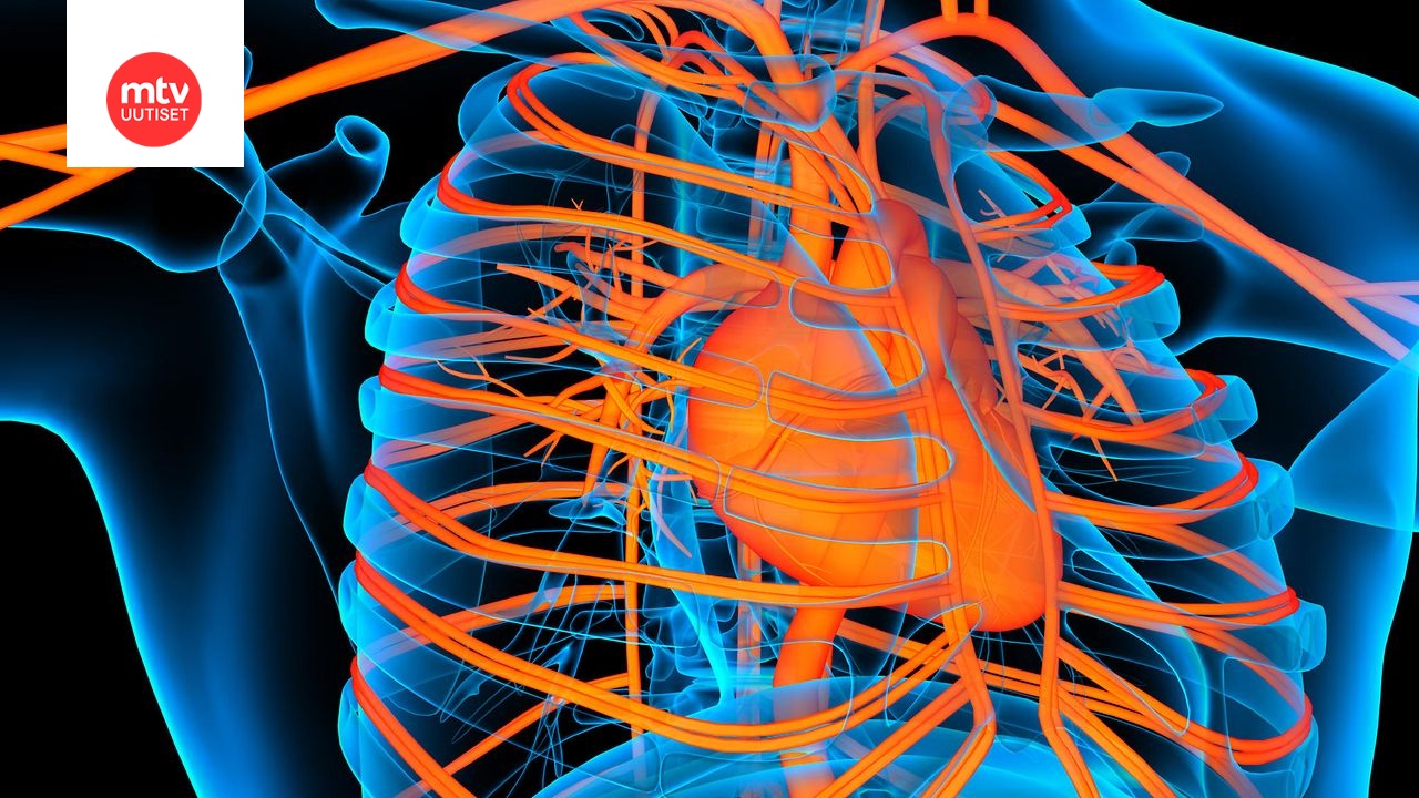 Tutkimus: Magnesiumlisä voi vetreyttää valtimoita - MTVuutiset.fi