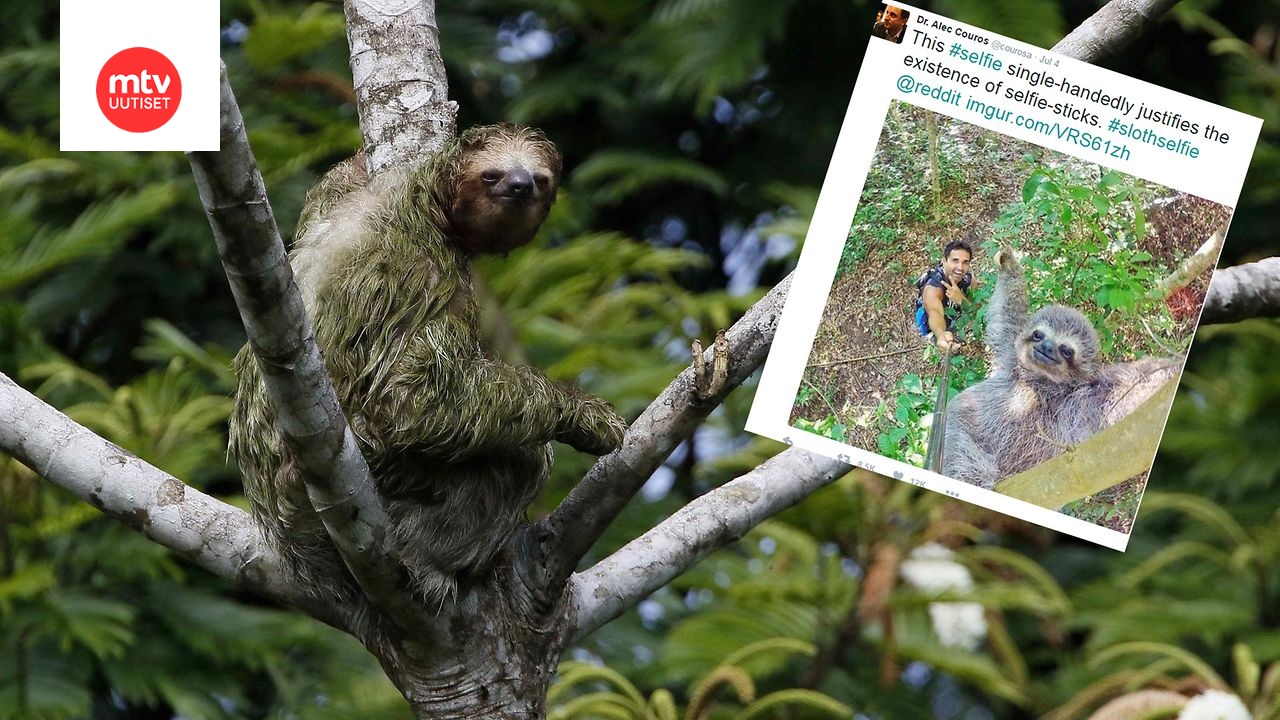 Laiskiainen innostui mukaan selfieen, kuva nousi megahitiksi – "Tämän ...