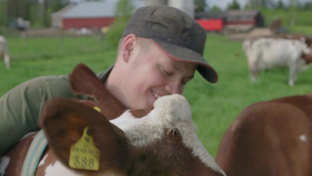 Maajussi ymmällään – ehdokkaan mustasukkainen käytös yllättää! - MTVuutiset.fi