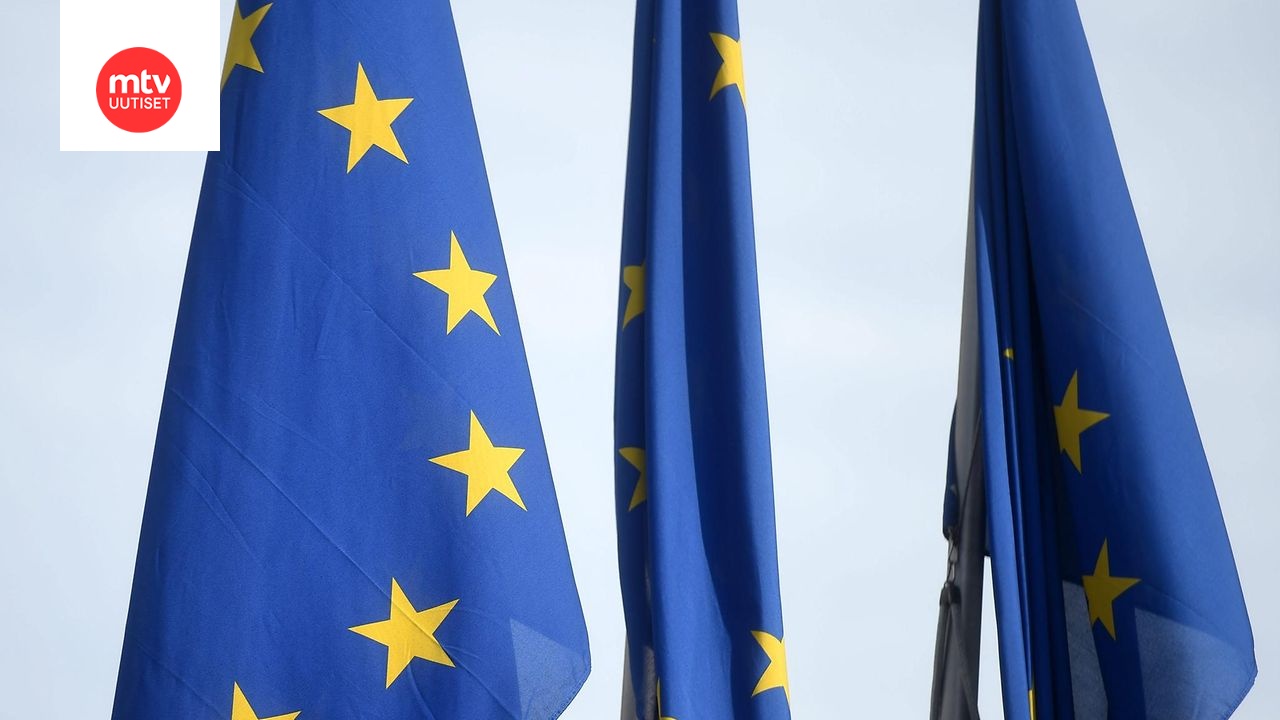 Tapio Nurmisen kommentti: Suomen salkkupettymyksen saldo: Euroalueen ...