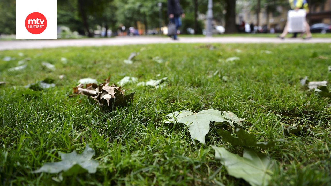 Syyskuu saapuu sateisena, sitten poutaantuu: "Ensi viikko näyttää ...