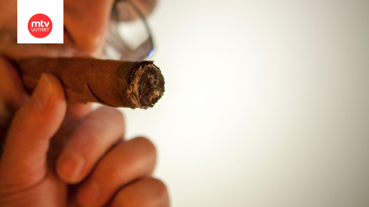 Sikareiden ja piipun terveyshaittoja tutkittiin pitkästä aikaa – tässä ...