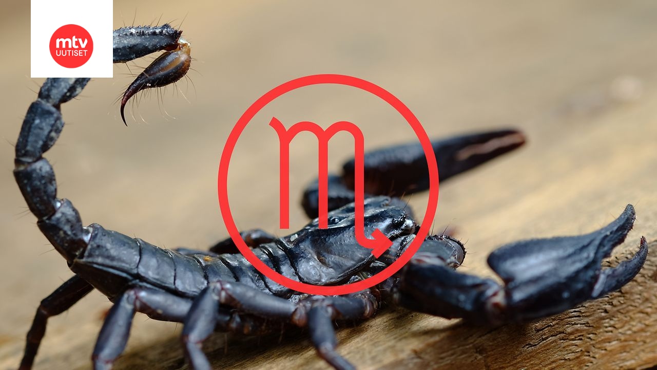 Skorpioni 24.10.–22.11. - Horoskooppi | MTV Uutiset