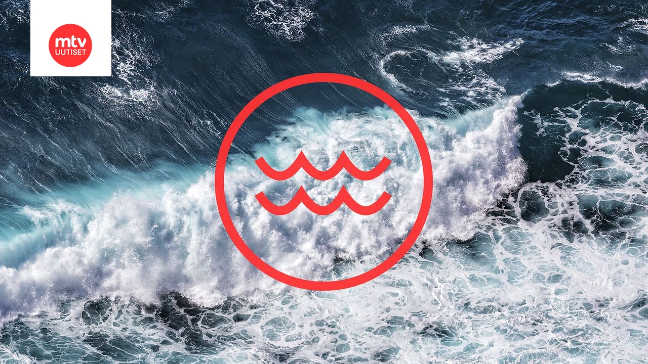 Vesimies 20.1.–19.2. - Horoskooppi | MTV Uutiset