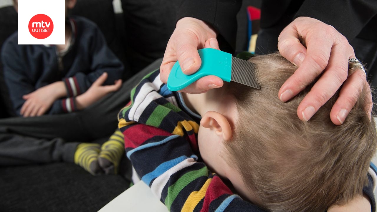 Täi- ja kihomato-ongelma jo "merkittävä, jopa epidemia ...