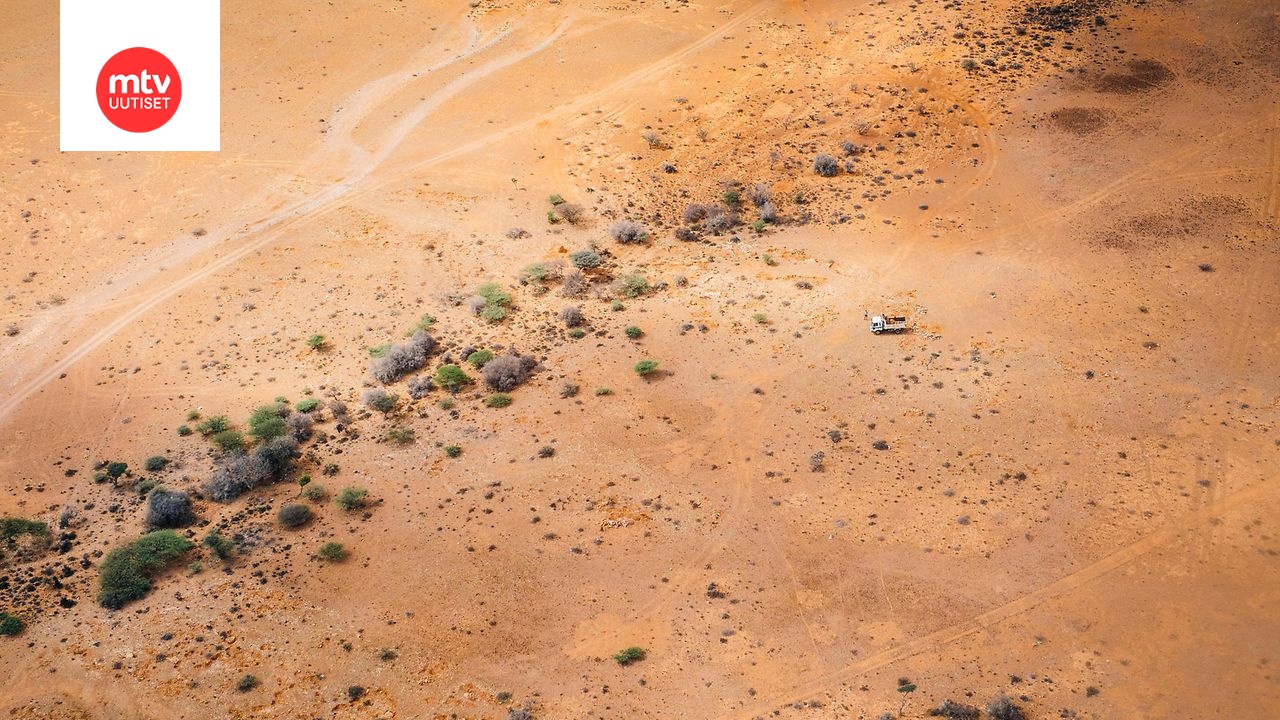 Tunisian tulisi lopettaa siirtolaisten karkottaminen aavikkoiselle raja-alueelle, sanoo YK:n ...