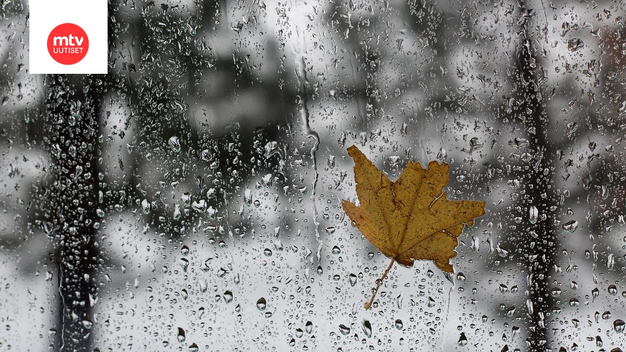 Luvassa jopa vaarallisia tuulia – pelastuslaitos kehottaa varautumaan ...