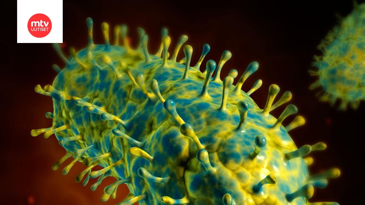 Myös nämä virukset ja bakteerit voivat levitä koronan tavoin eläimestä ...