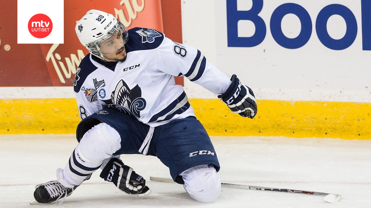 Kanadalaishyökkääjä Michael Joly siirtyy SM-liigan HPK:hon - MTVuutiset.fi