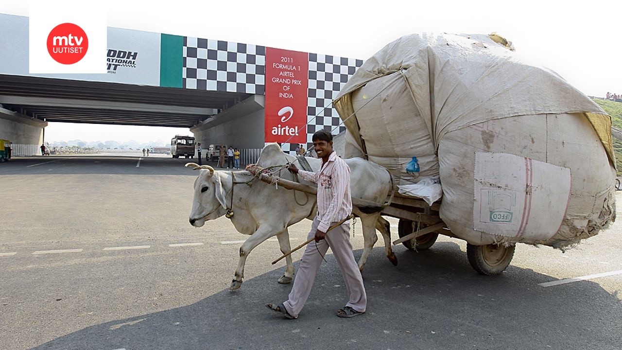 Intian F1-radalla viimeistelytöitä härkävoimin - katso kuvat ...