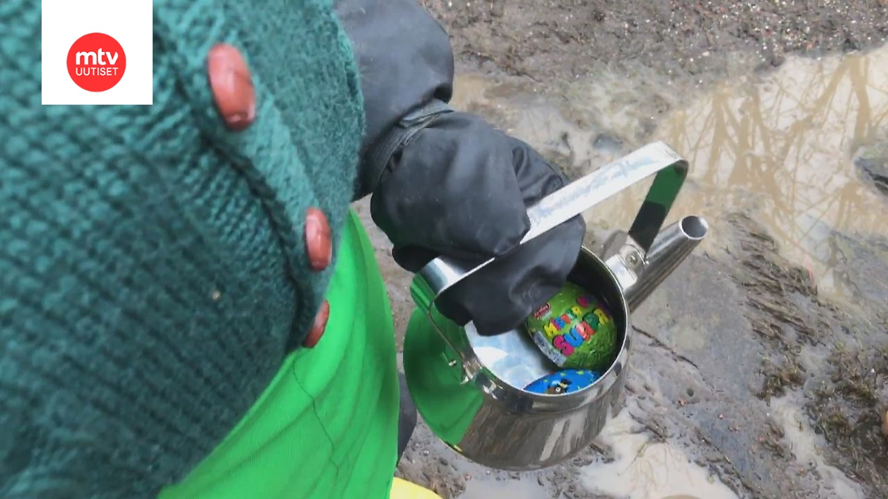 Palmusunnuntai tuo tänään virpojat oville - MTVuutiset.fi