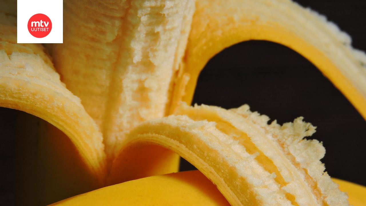 Banaanin voi paloitella käsin kolmeen osaan tällä yksinkertaisella ...