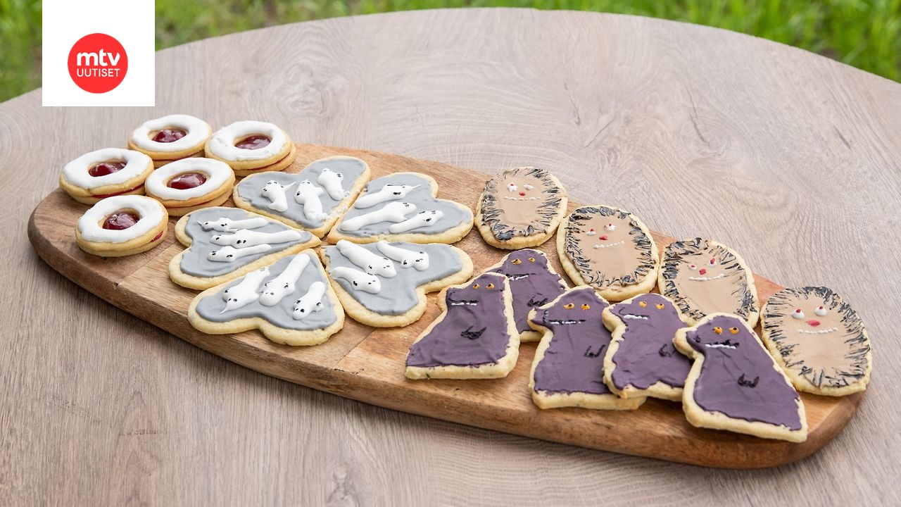 Koko Suomi leipoo: Muumilaakson pahikset, Sami - Resepti | Makuja | MTV ...