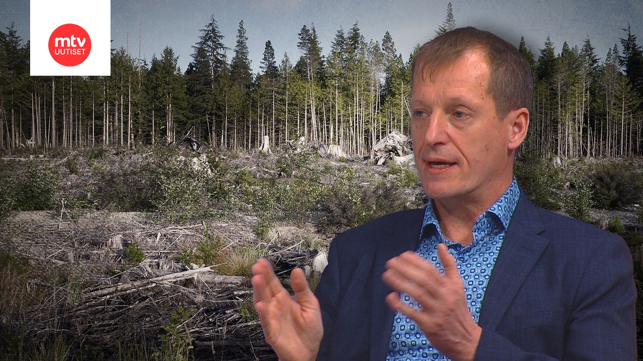 Metisen suojelun vaatimukset lisääntyvät mutta niin myös puun kysyntä ...