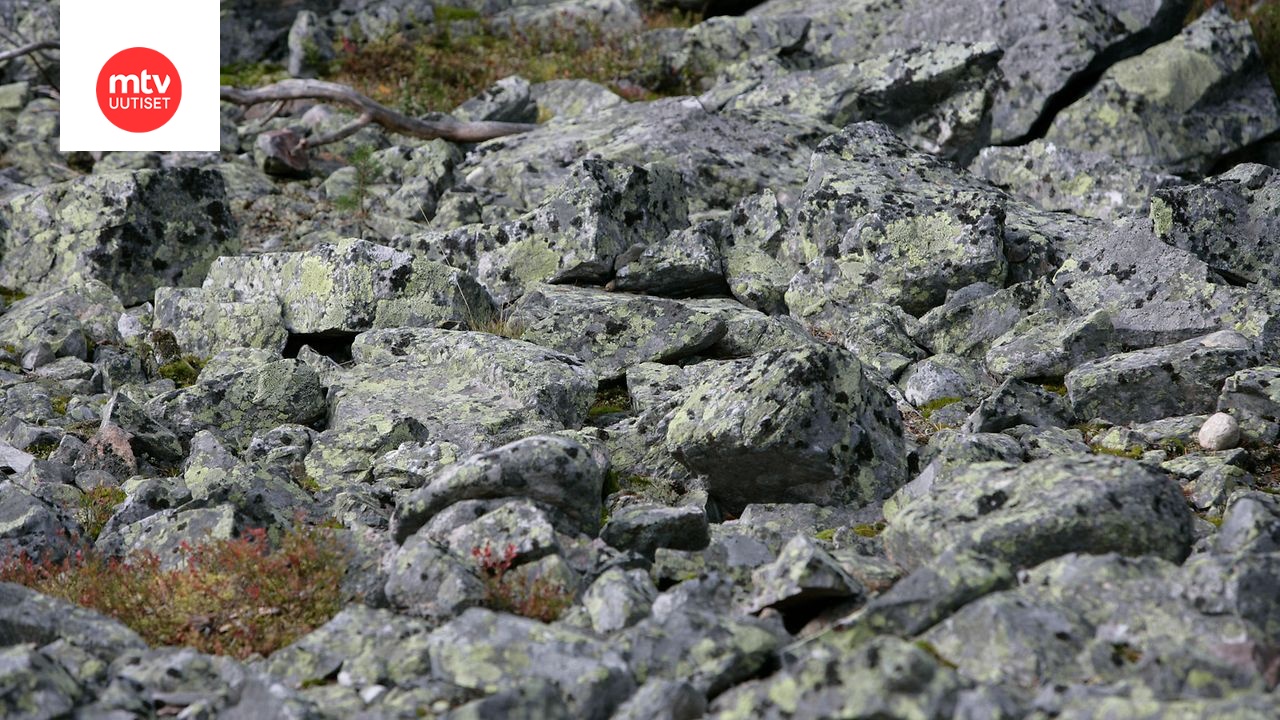 Geologian tutkimuskeskuksen parhaan kansannäytteen palkinto Toholammille - MTVuutiset.fi