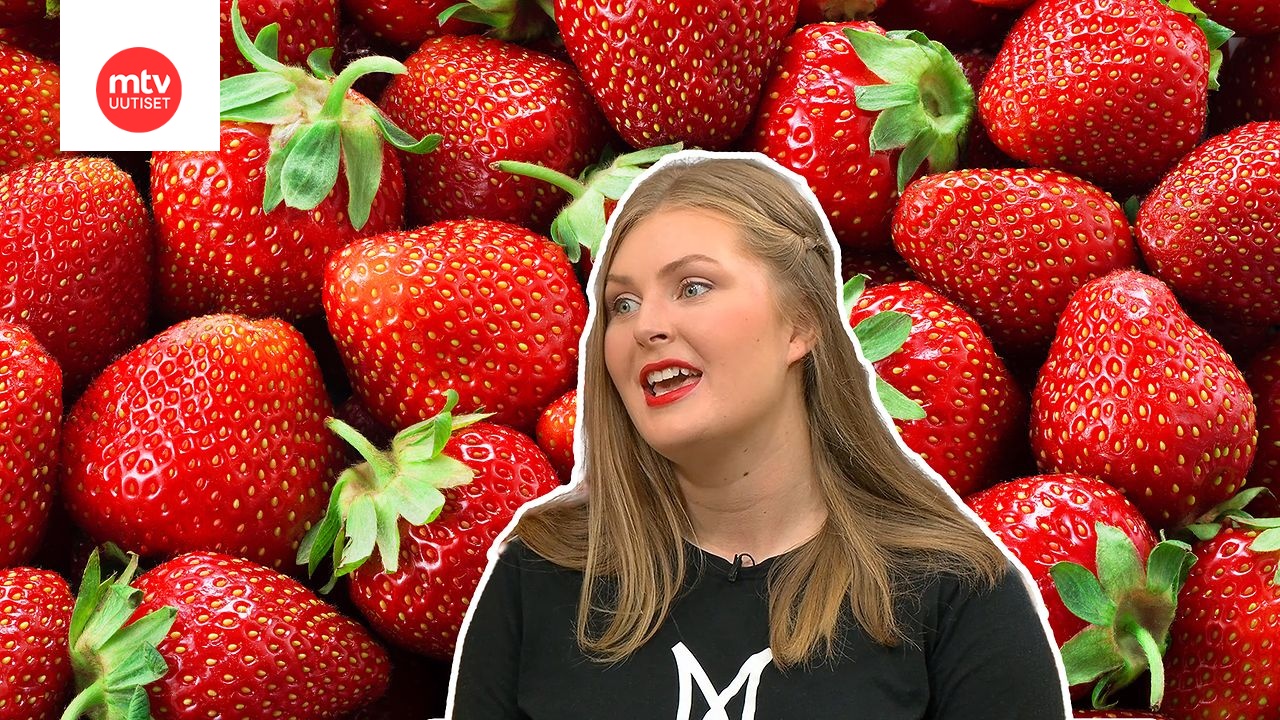 Mansikoiden pakastus: Tarvitseeko sokeria lisätä? | Makuja | MTV Uutiset