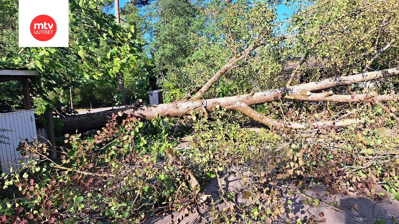 Myrsky väisti Suomen, mutta tuulituhoja riittää - MTVuutiset.fi