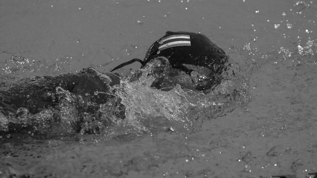 Thaimaalainen paraurheilija Chaturong Suksuk surmasi häissään vaimonsa ...