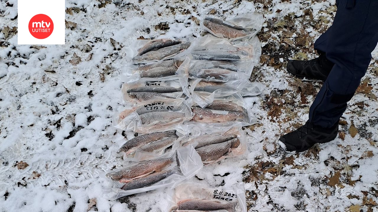 9620 euron "joulukalat" poliisin haaviin Hartolassa - MTVuutiset.fi