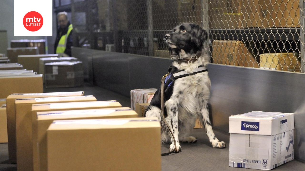 Tulli on löytänyt täysin uusia muuntohuumeita - MTVuutiset.fi