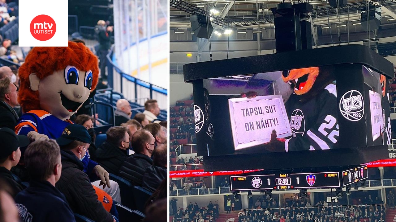 TPS-maskotti kuittasi Tappara-virkaveljensä törttöilyt - MTVuutiset.fi