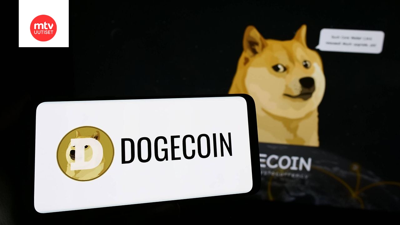 Maailman tunnetuin meemikoira doge eli Kabosu on kuollut - MTVuutiset.fi