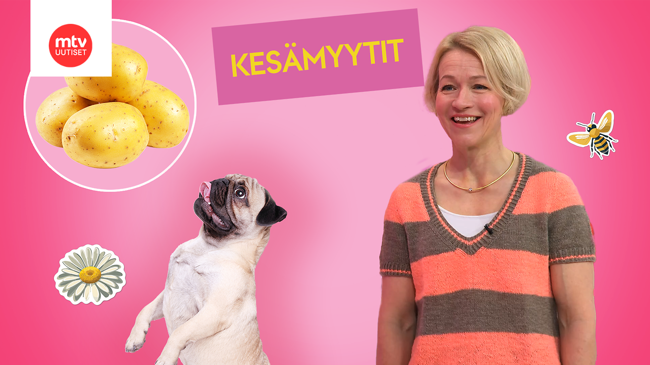 Saako koira syödä perunaa? - MTVuutiset.fi