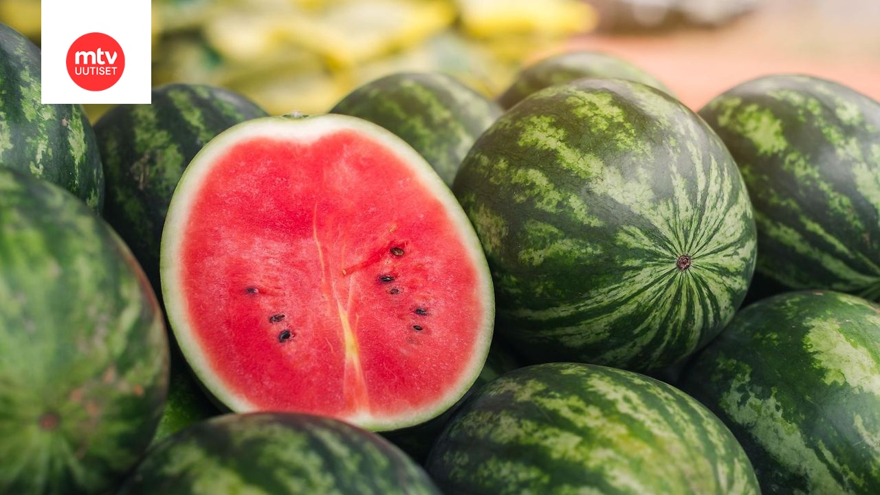 "Kahden sormen sääntö" paljastaa hyvän vesimelonin | Makuja | MTV Uutiset