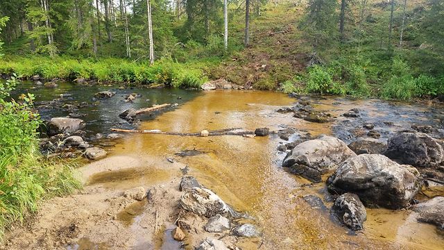 Suomussalmi - Uutiset - MTVuutiset.fi