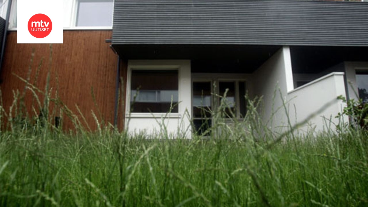 "Pihani revittiin maan tasalle" - MTVuutiset.fi