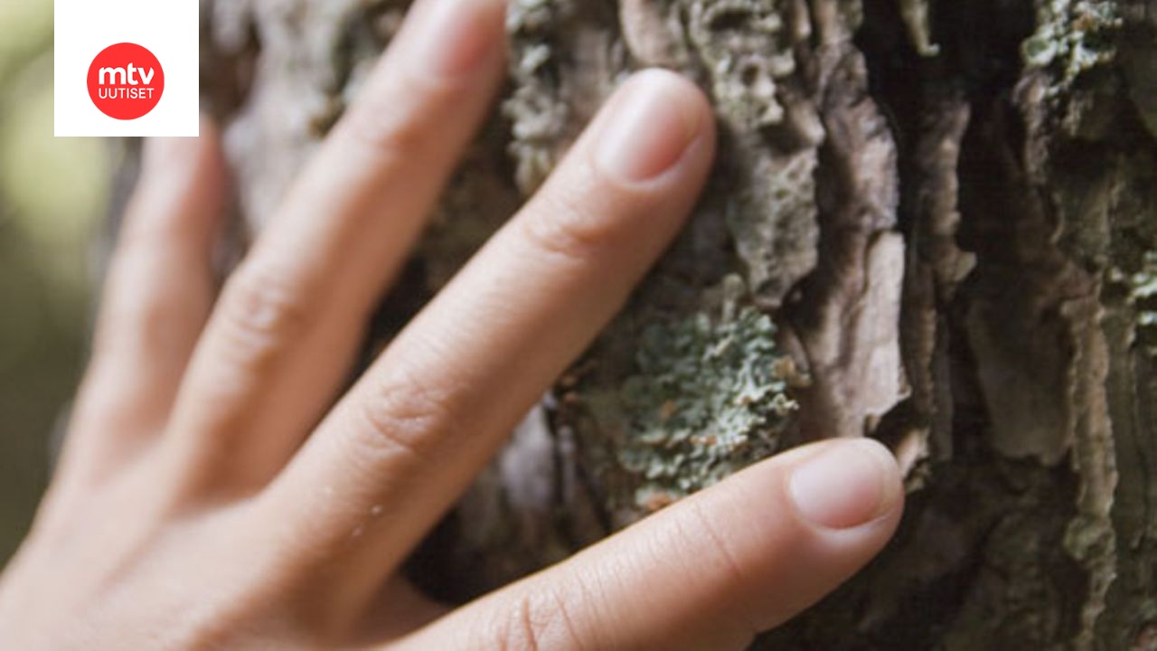 Mitä on shamanismi? Shamaani kertoo - MTVuutiset.fi